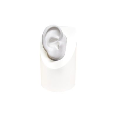 Ear Model | Audiologist & Clinical Display | Warner-Tech Care